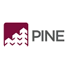 Banco Banco Pine - Consulte informações aqui